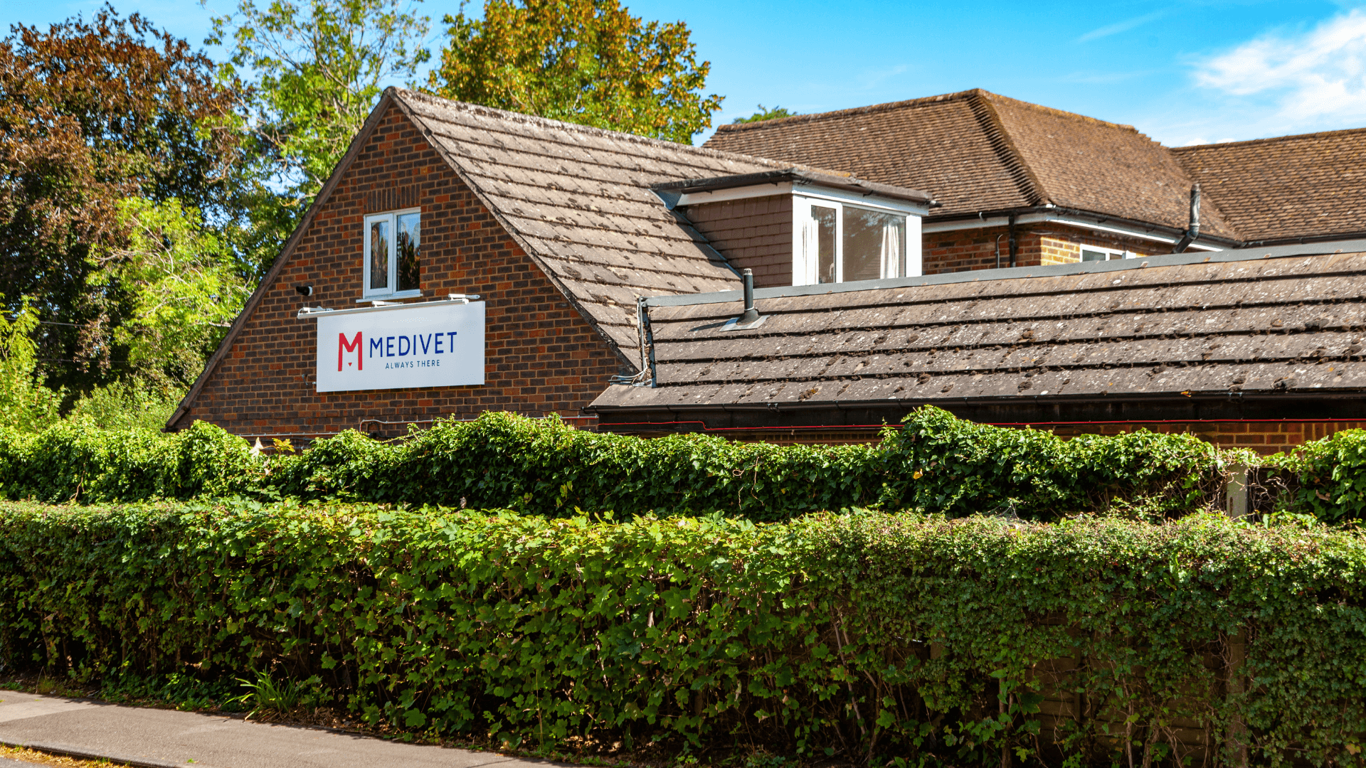 What We Offer - Medivet Careers