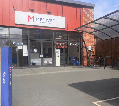 About Us - Medivet Careers