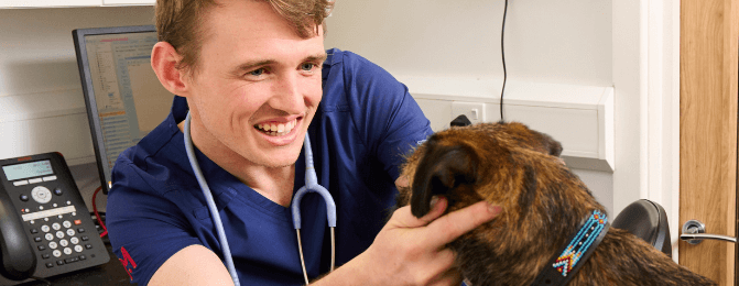 Deliver exceptional care: Veterinary Surgeon jobs at Medivet